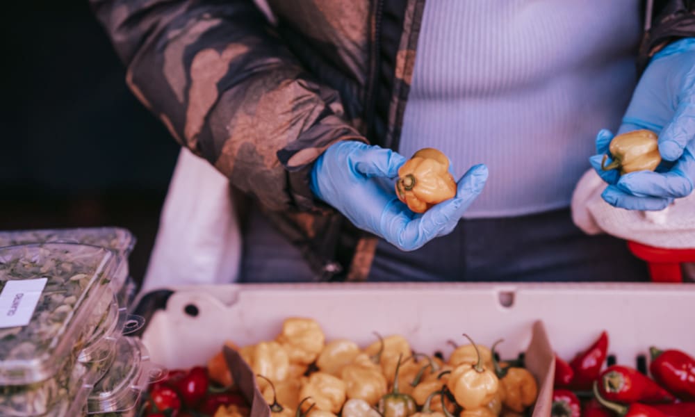 Free Food Hygiene Course | Health and Safety Services